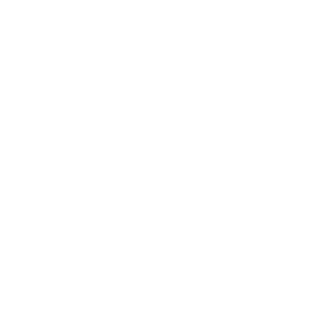 Jeffrey J. Gindin Q.C. - Gindin Segal Law